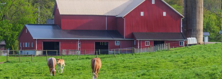 Home - Discover Holmes County Ohio